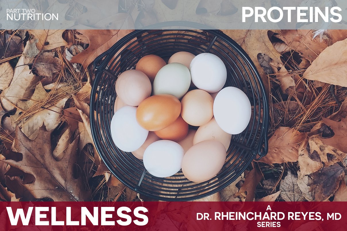 WELLNESS | Nutrition: Protein | Dr. Rheinchard Reyes MDPA